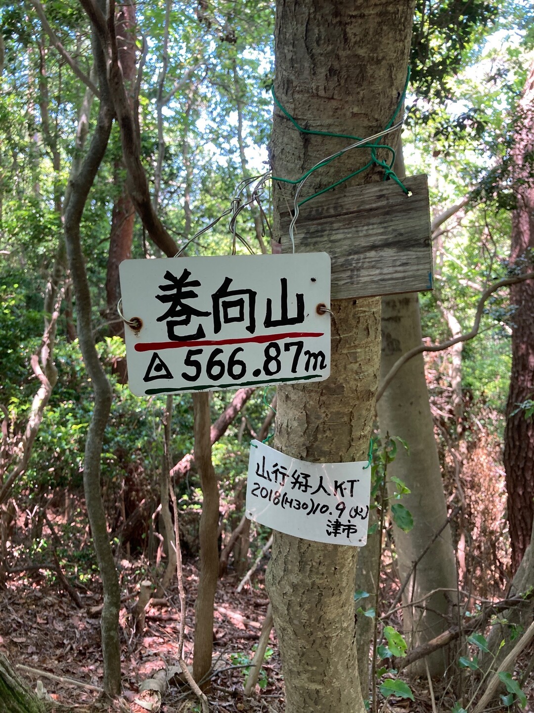 リベンジ巻向山です。 / 三輪山・巻向山・龍王山の写真12枚目 / 頂上です。 | YAMAP / ヤマップ