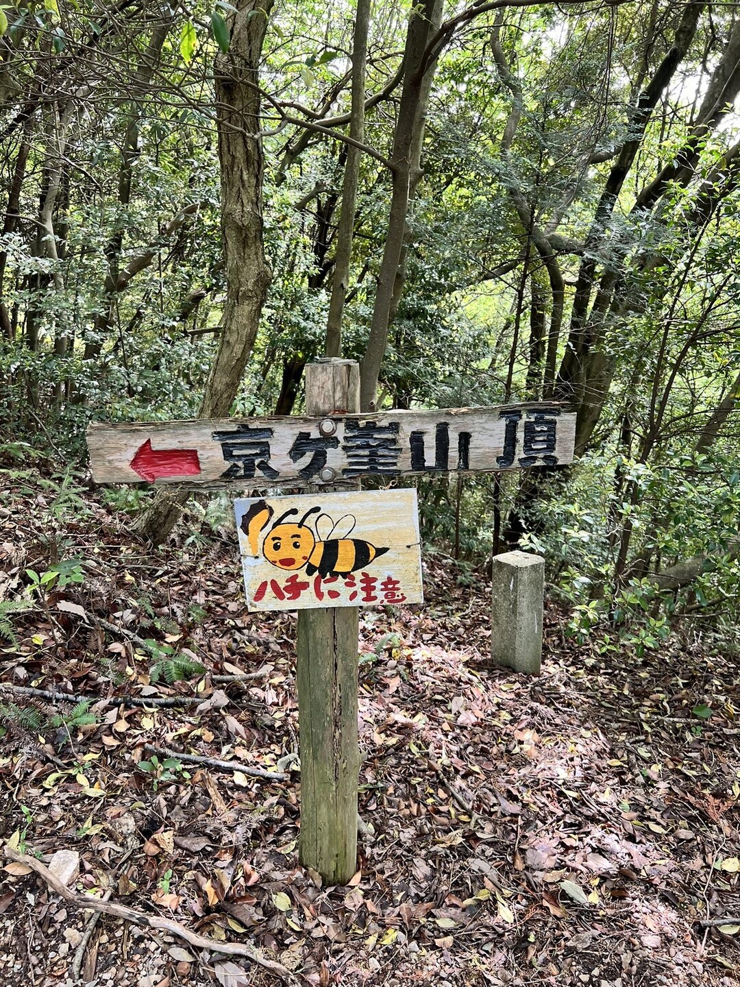 京ヶ峯 リハビリハイキング / Monica さんの京ヶ峯の活動データ | YAMAP / ヤマップ