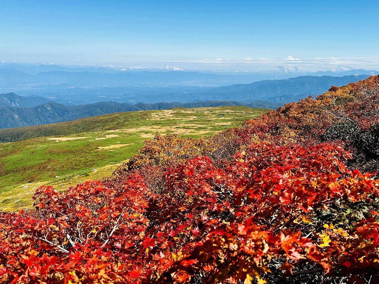 錦秋の月山 弥陀ヶ原の草紅葉とオモワシ山の真っ赤な紅葉 / kaeruさんの月山の活動データ | YAMAP / ヤマップ
