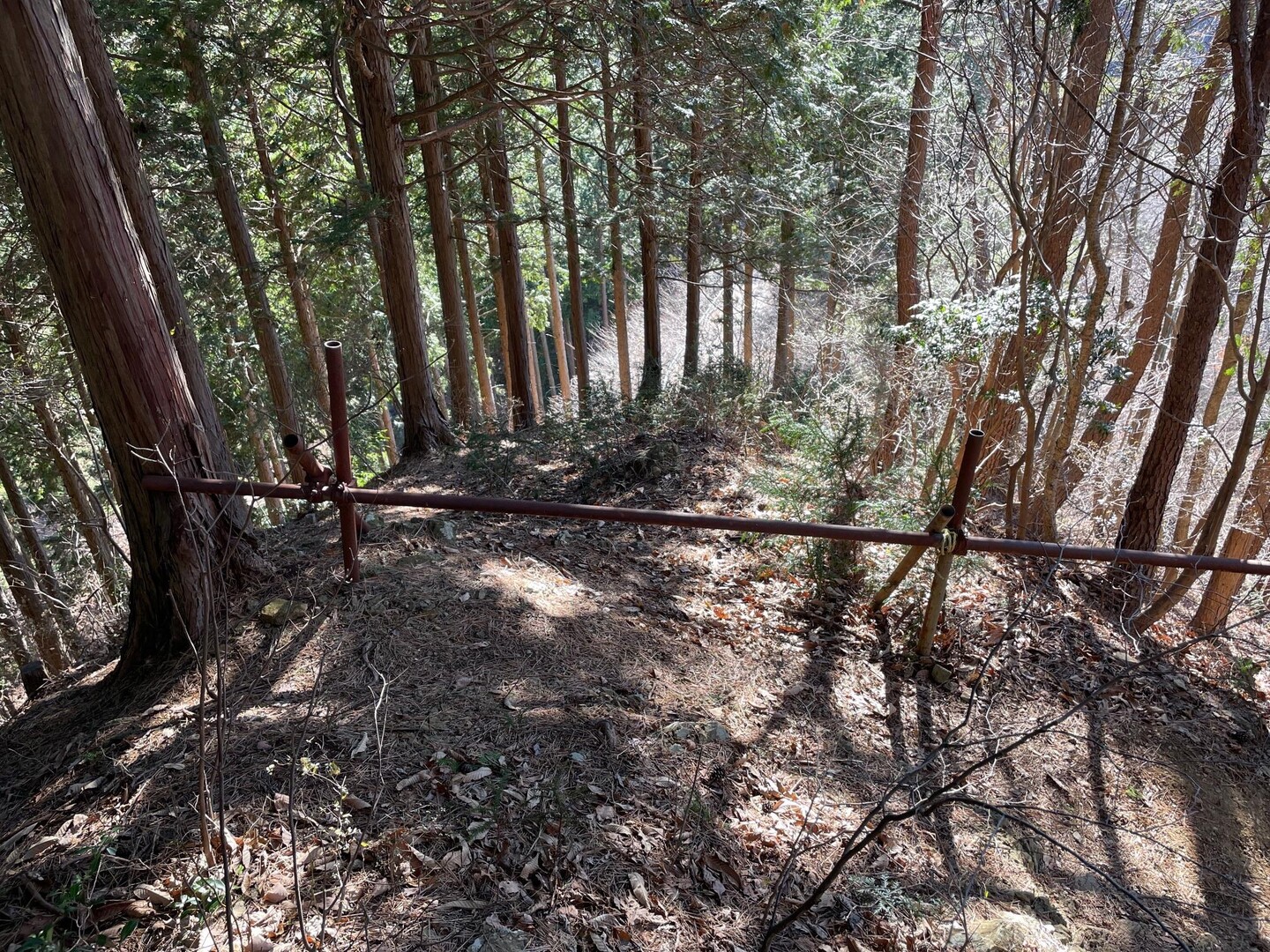 von Sigさんの投稿したフィールドメモ | YAMAP / ヤマップ