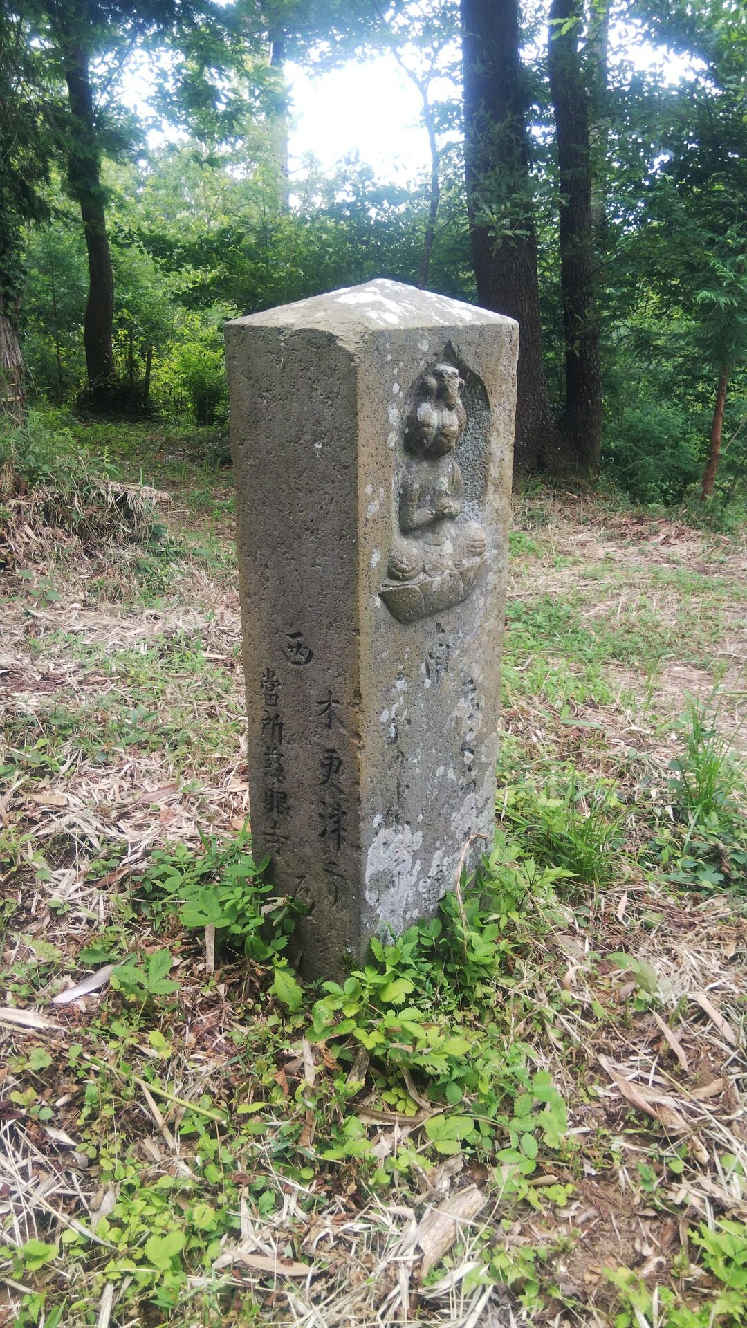 房総山岳志⑭ 花下楽台 / ももくんさんの木更津市の活動データ | YAMAP / ヤマップ