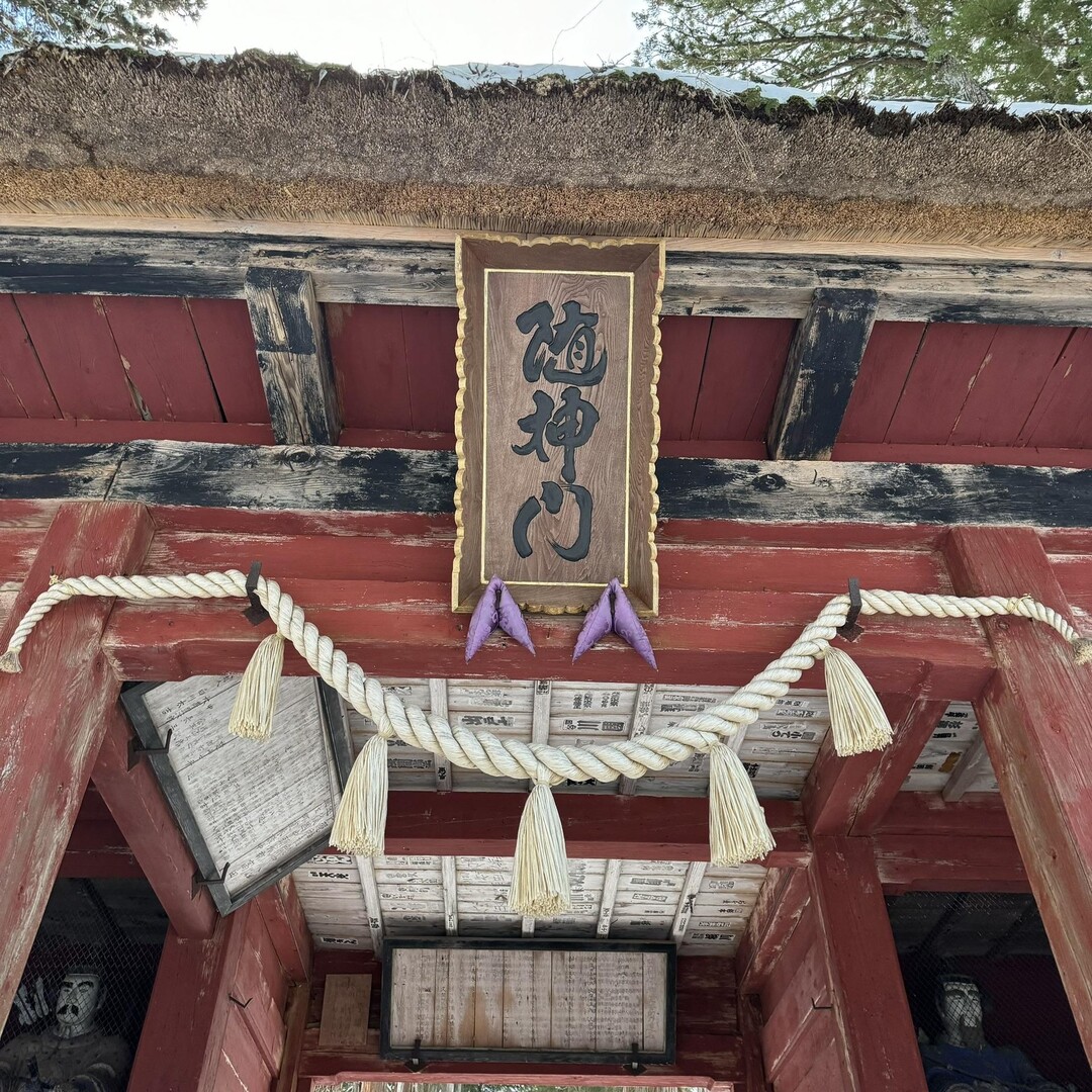 戸隠神社散策 / hanabouさんのウォーキングの活動データ | YAMAP / ヤマップ