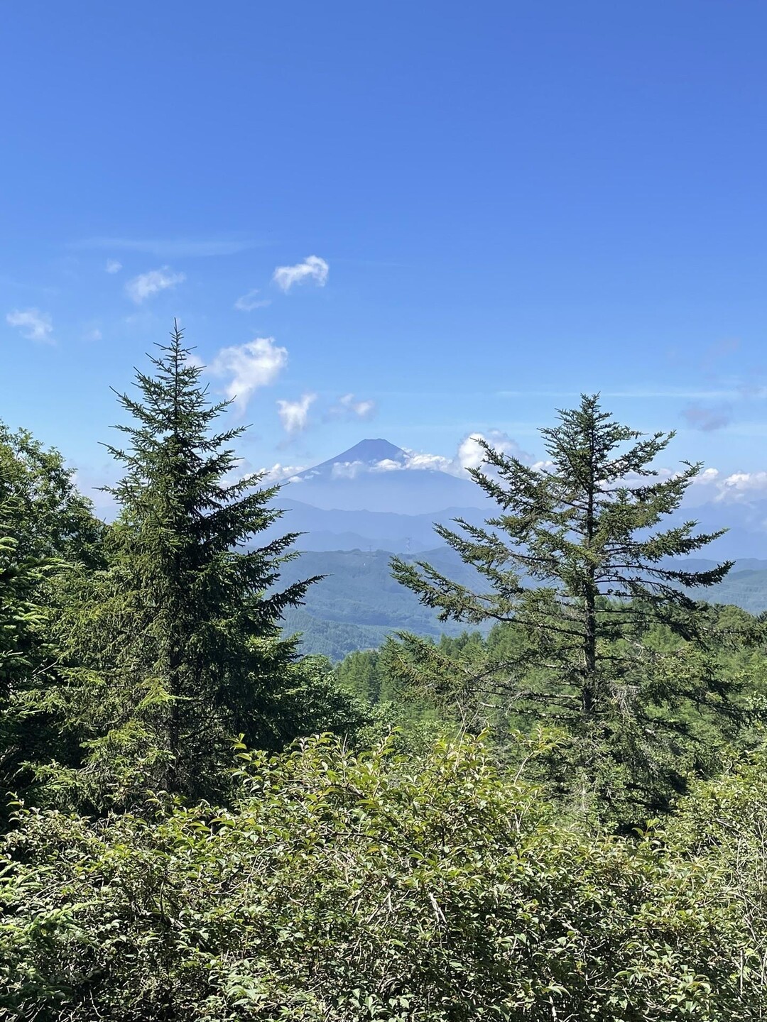 大菩薩峠から石丸峠へ / yukodamaさんの大菩薩嶺・鶏冠山・大マテイ山の活動データ | YAMAP / ヤマップ