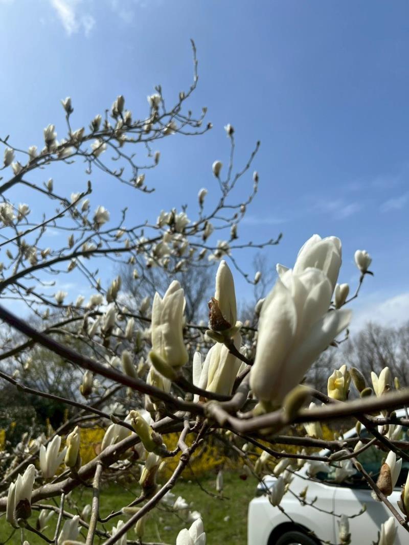 亀岡三郎ヶ岳と鍋料理 https://k... / 京都趣味登山会さんのモーメント | YAMAP / ヤマップ