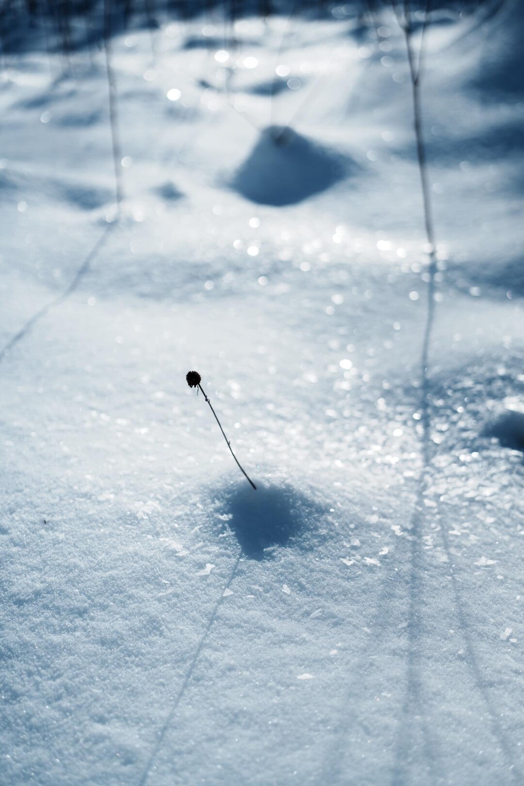 裏石ヶ森 / muさんの石ヶ森の活動データ | YAMAP / ヤマップ