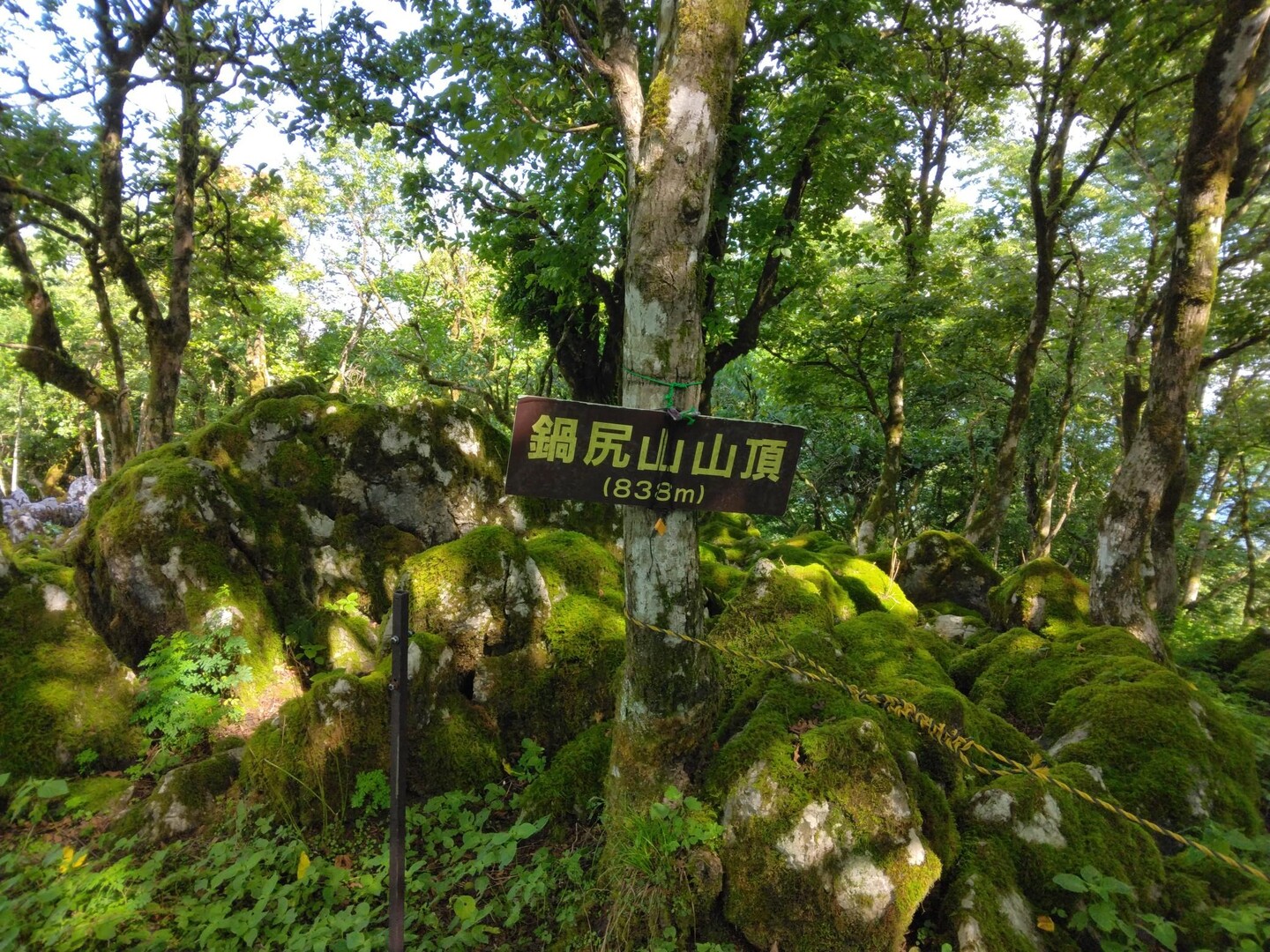 鍋尻山 / fifty fiftyさんの鍋尻山の活動データ | YAMAP / ヤマップ