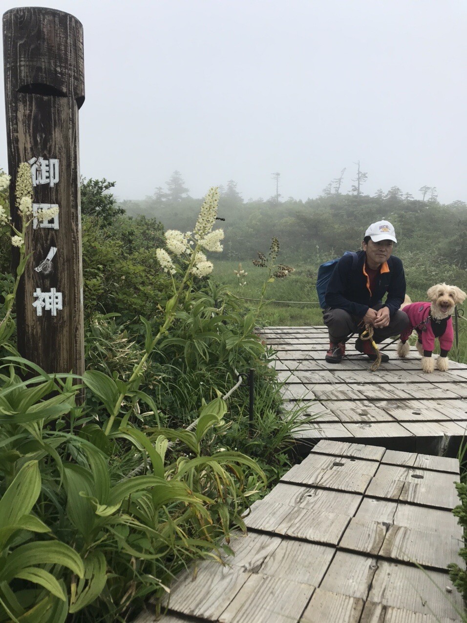 御田の神湿原🐾 蔵王山 -2021-07-10 / AL_Maxさんの蔵王山・雁戸山・不忘山の活動データ | YAMAP / ヤマップ