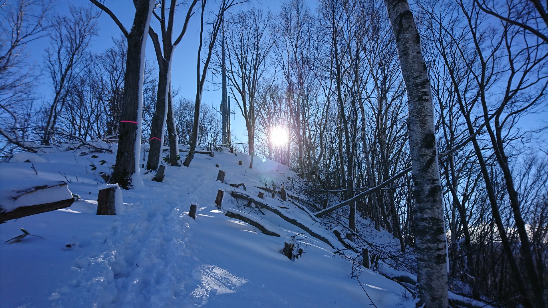 豊見山に登りました⛰️ / えみ👻さんのモーメント | YAMAP / ヤマップ
