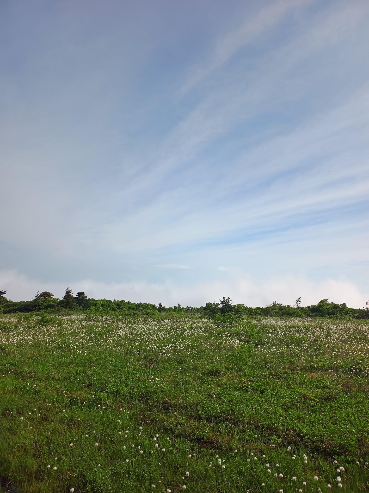 栗駒山 須川 / EMMAさんの栗駒山（須川岳）・秣岳・虚空蔵山の活動データ | YAMAP / ヤマップ