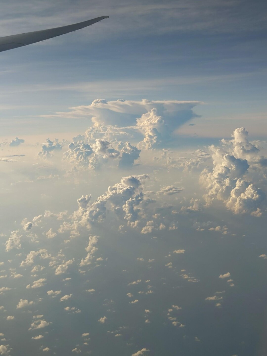 カリマンタン島のキナバル山、インドネシア... / tonyさんのモーメント | YAMAP / ヤマップ