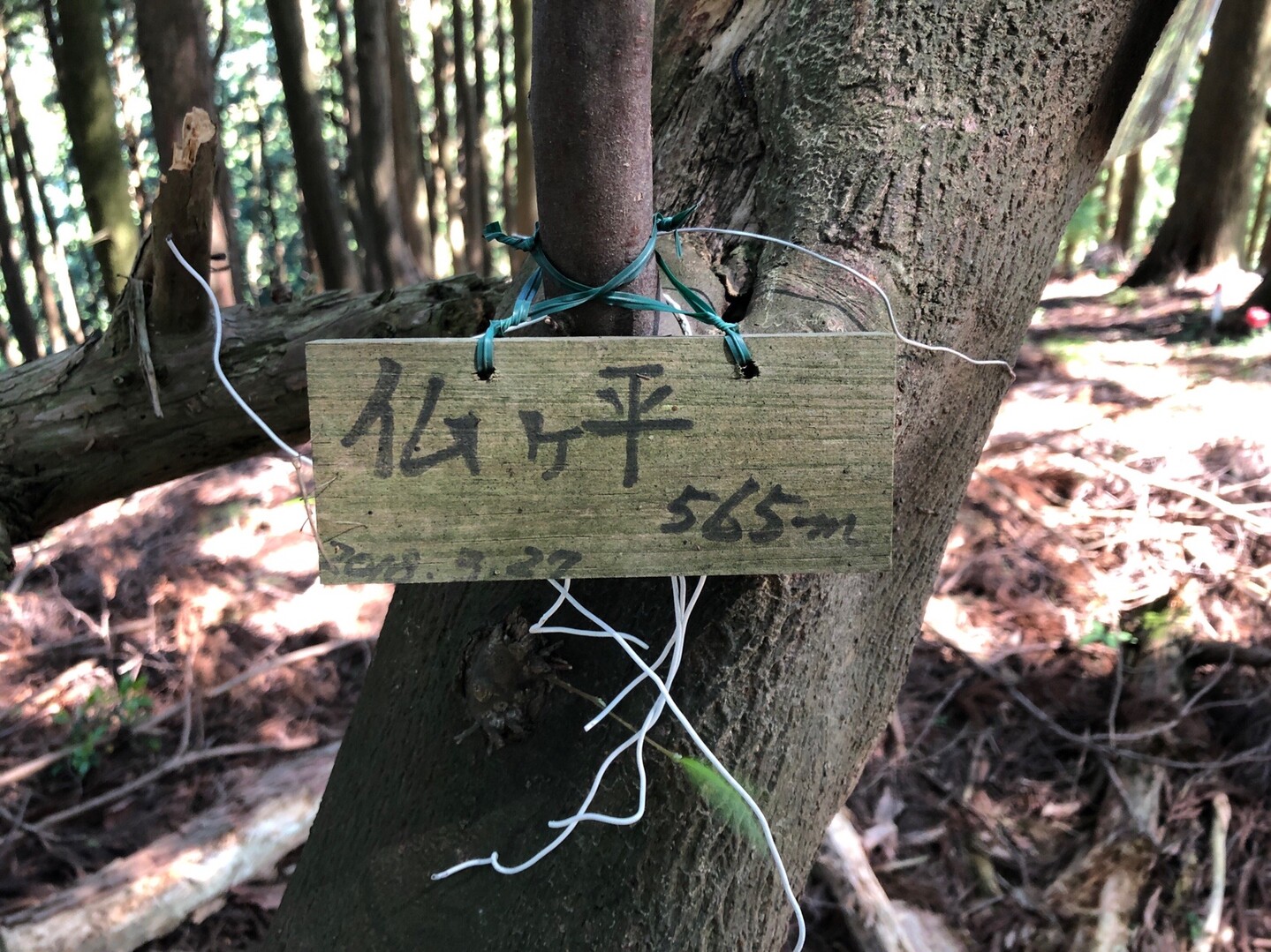 寒風・仏ヶ平 / takawestさんの高畑山・那須ヶ原山・油日岳の活動データ | YAMAP / ヤマップ