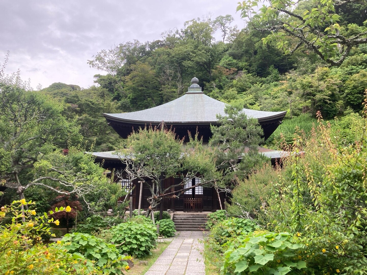鎌倉アルプス&古寺散策☁️🧐 / nem&samさんの鎌倉アルプス（大平山・天台山）の活動日記 | YAMAP / ヤマップ