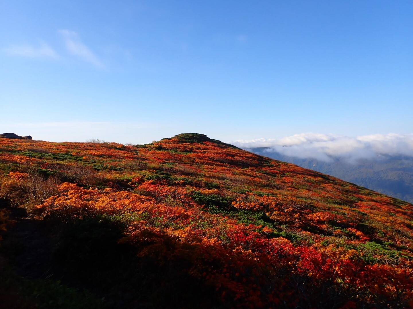 三ツ石山、小畚山 紅葉狩り第2弾 / METAL-渓山さんの三ッ石山・大深岳・諸桧岳の活動日記 | YAMAP / ヤマップ