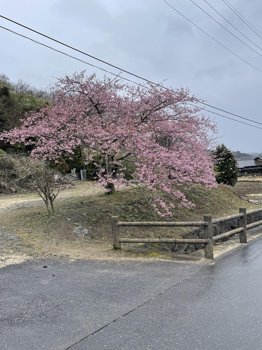小町〜朝日峠展望〜雪入山⛰️ハイク / RUmama🍃さんの登山の活動データ | YAMAP / ヤマップ