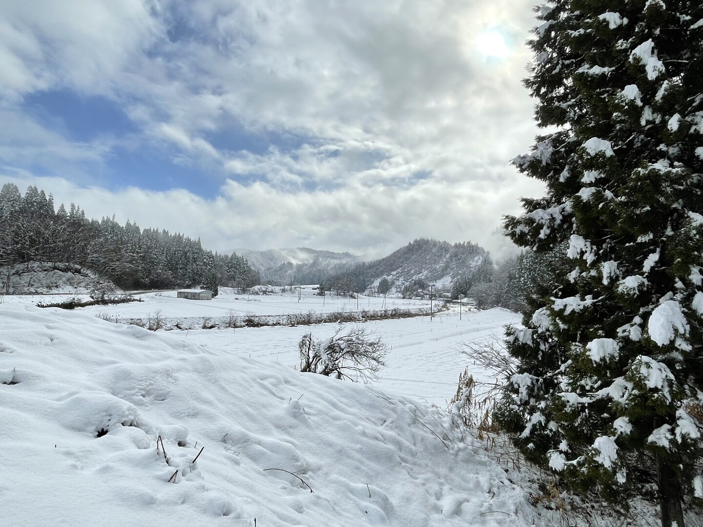 2021.12.02(木) 22:09 / ケロケロ🐸🐸🐸さんのモーメント | YAMAP / ヤマップ