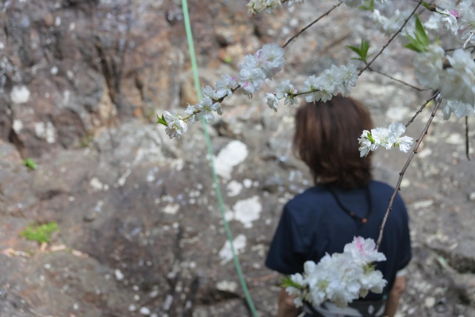 R6.4.20（土） 古賀志山クライミン... / PEAKERさんのモーメント | YAMAP / ヤマップ