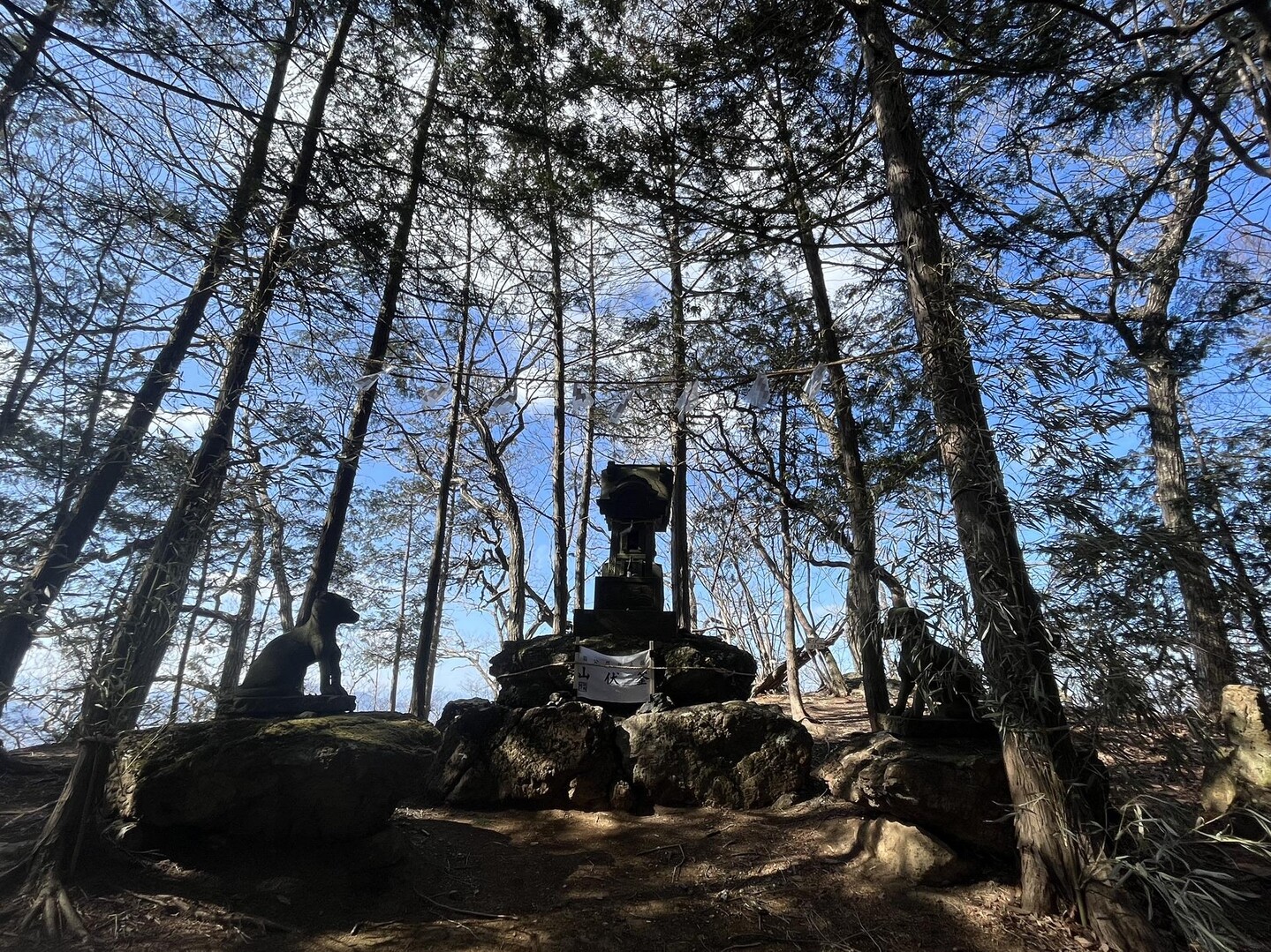 雨乞山・登谷山・皇鈴山・愛宕山・釜伏山へ🐾 / hachacha-umemeさんの宝登山・長瀞アルプス・不動山・陣見山・鐘撞堂山の活動データ ...