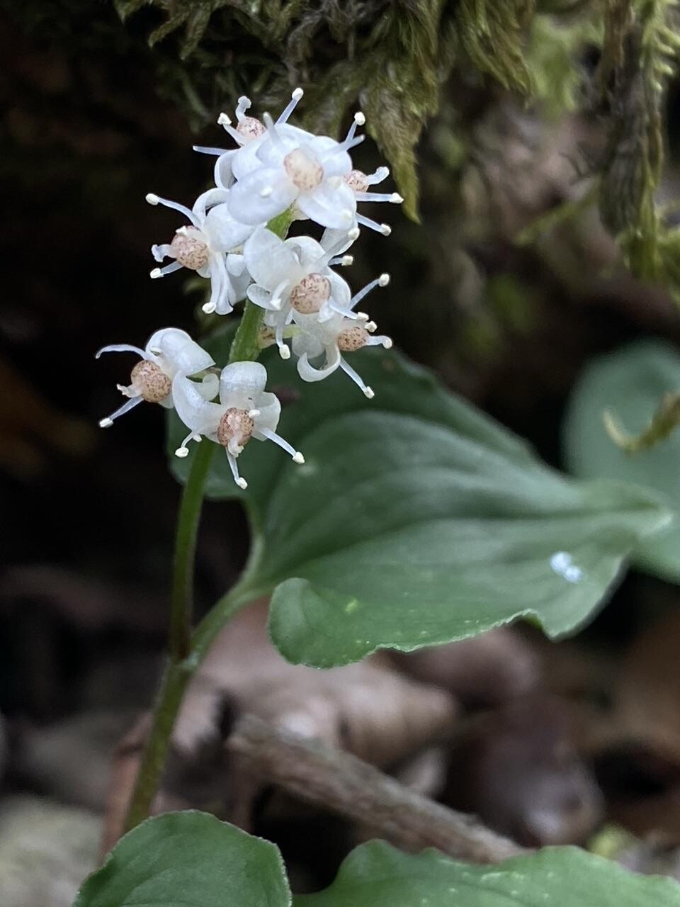 eijiのページ | YAMAP / ヤマップ