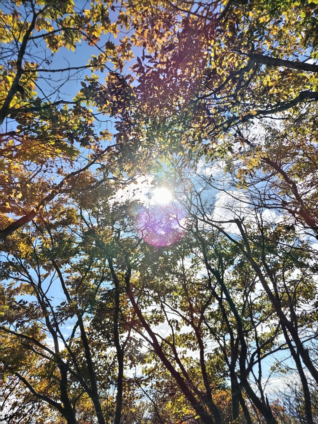 kuroのページ | YAMAP / ヤマップ