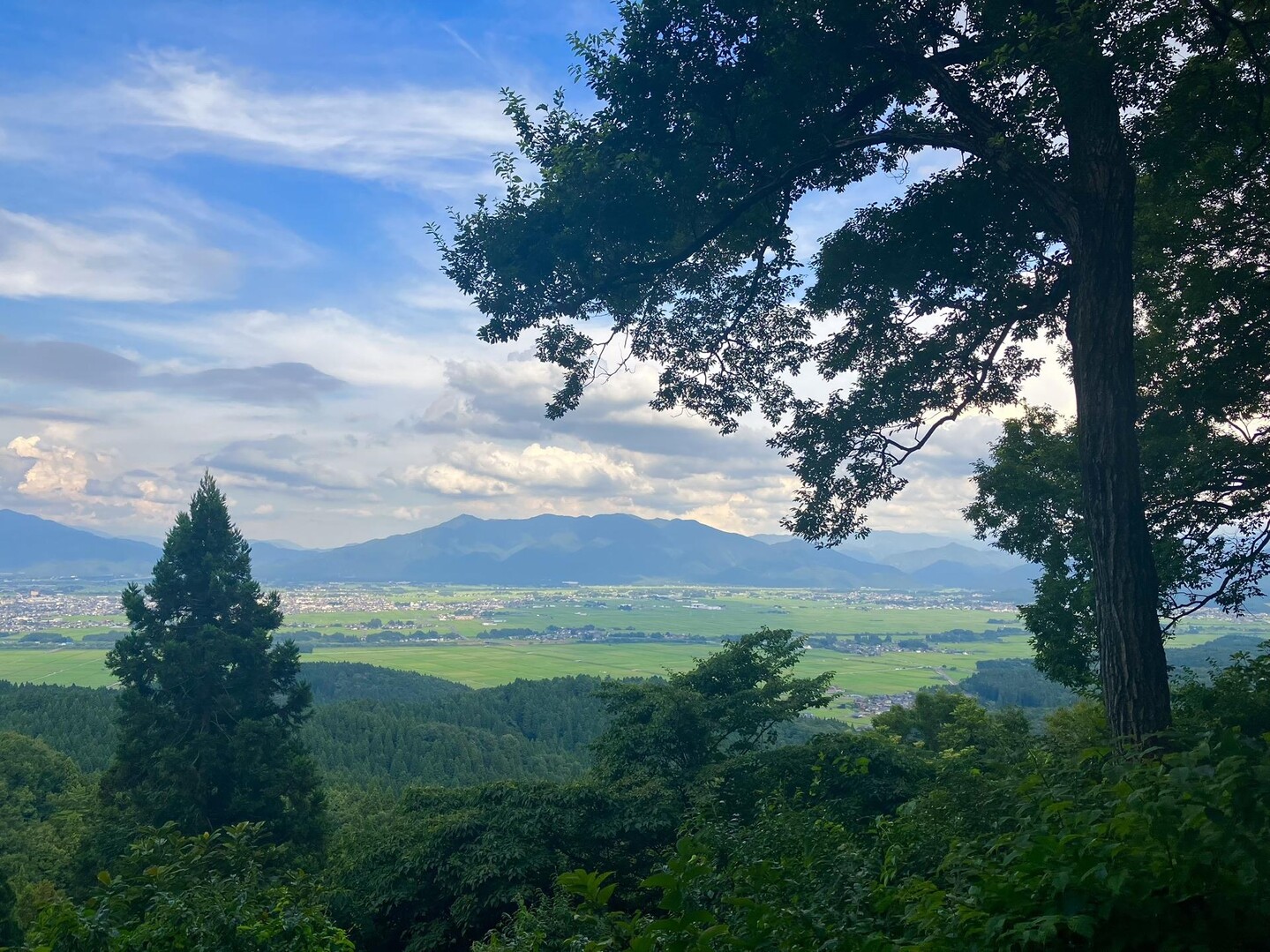 第79話・アブ襲来🪰 / Naluさんの菩提寺山・高立山・護摩堂山の活動データ | YAMAP / ヤマップ