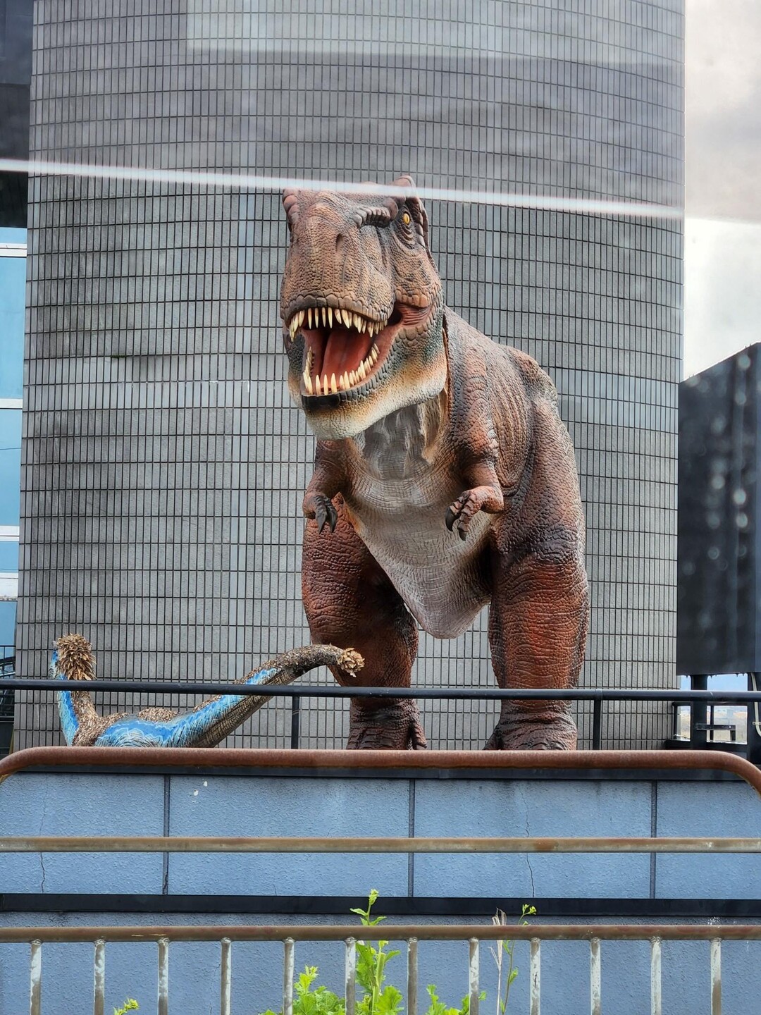 越前山巡り👯 / obamaさんの藤倉山・鍋倉山の活動データ | YAMAP / ヤマップ