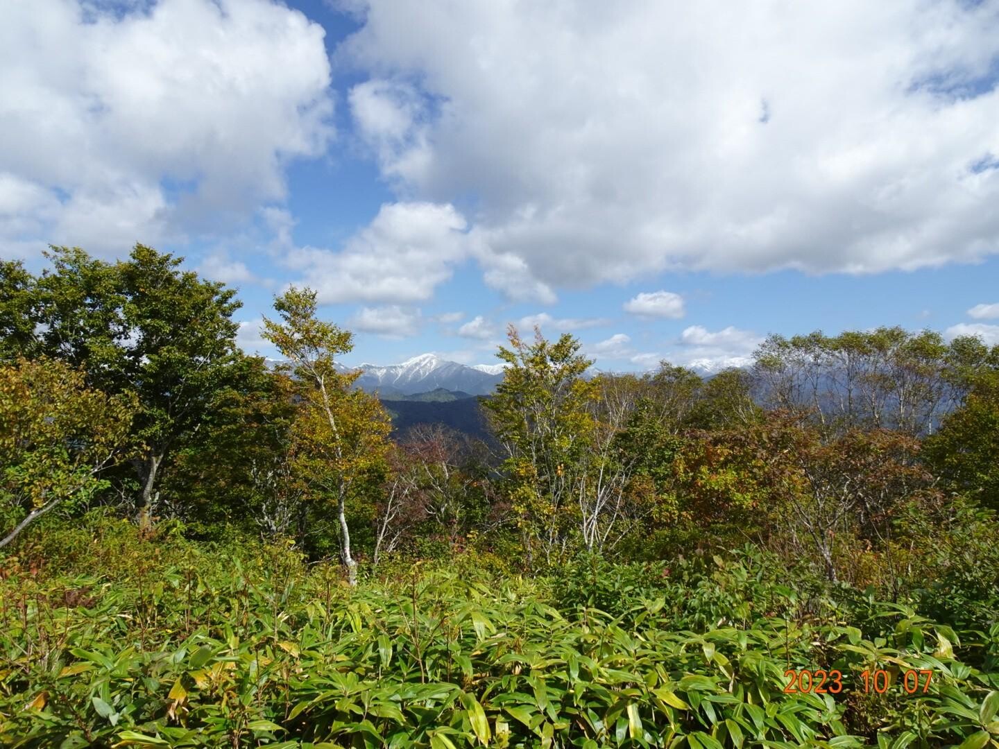 YAMAP新道 登山道整備の天蓋山 / attsumanさんの天蓋山・大鼠山の活動データ | YAMAP / ヤマップ