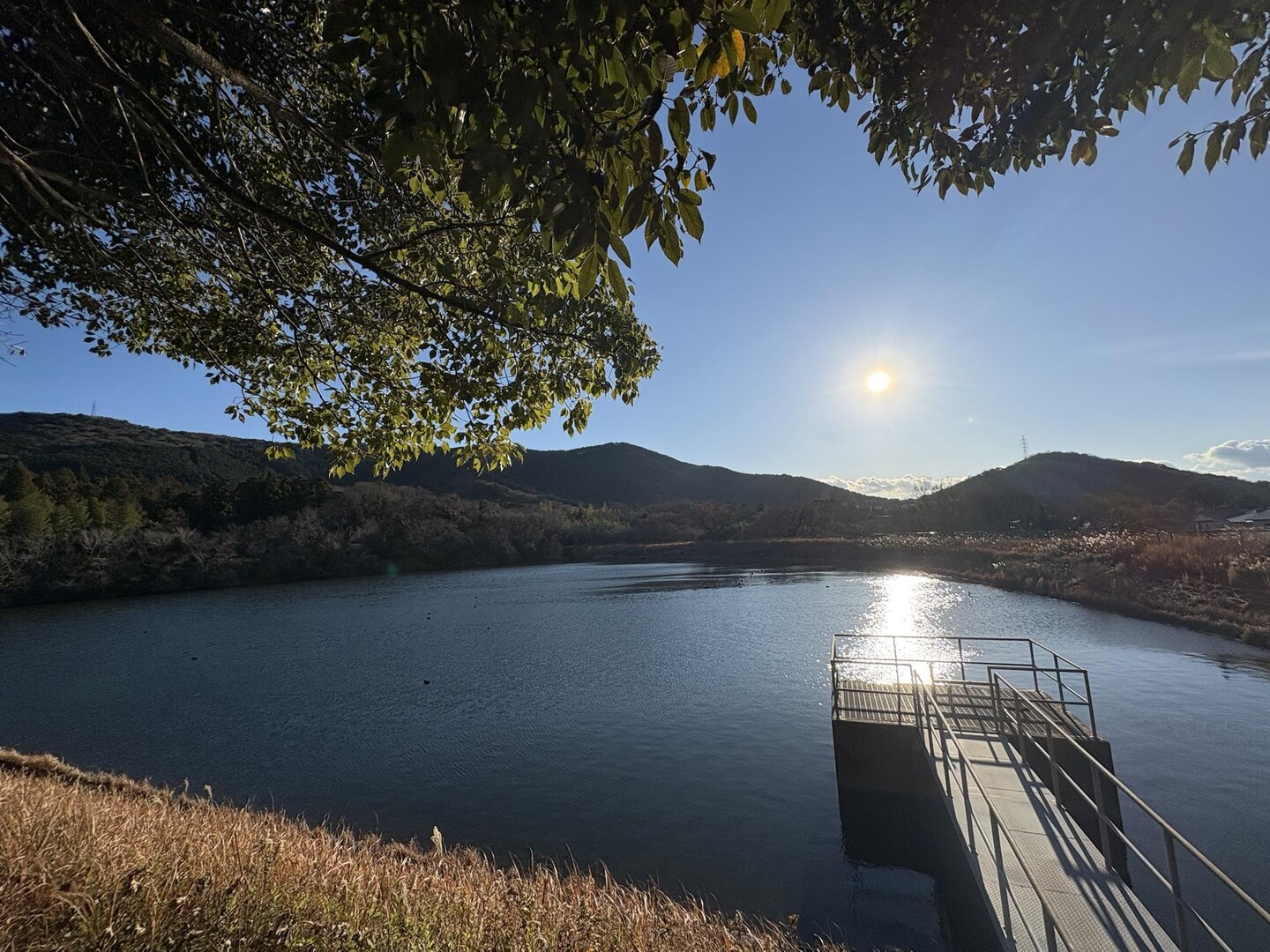葦毛湿原・座談山・船形山・神石山 / monさんの坊ヶ峰・石巻山・神石山・葦毛湿原の活動データ | YAMAP / ヤマップ