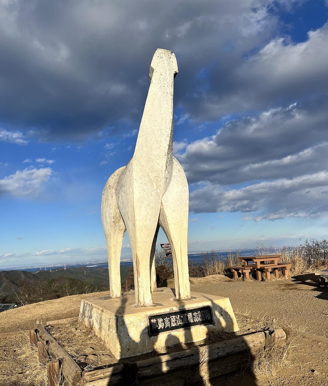 高尾ハイカーバッジゲット⛰️陣馬山 / kaoさんの高尾山・陣馬山・景信山の活動データ | YAMAP / ヤマップ