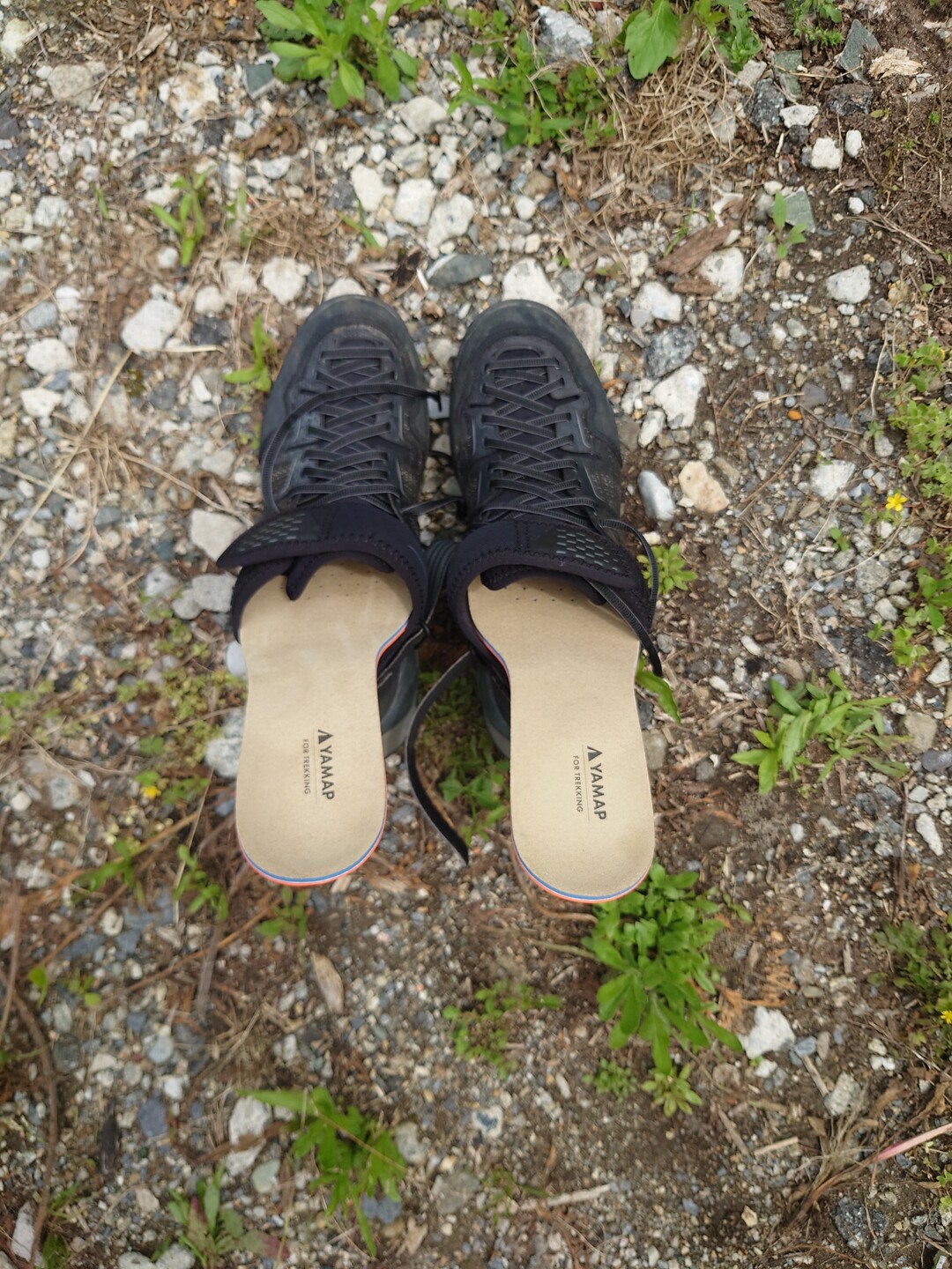 朝熊山 名古山コース登り二瀬橋コース下り / dewarsさんの朝熊ヶ岳（朝熊山）・鼓ヶ岳・鷲嶺（袴腰山）の活動データ | YAMAP / ヤマップ