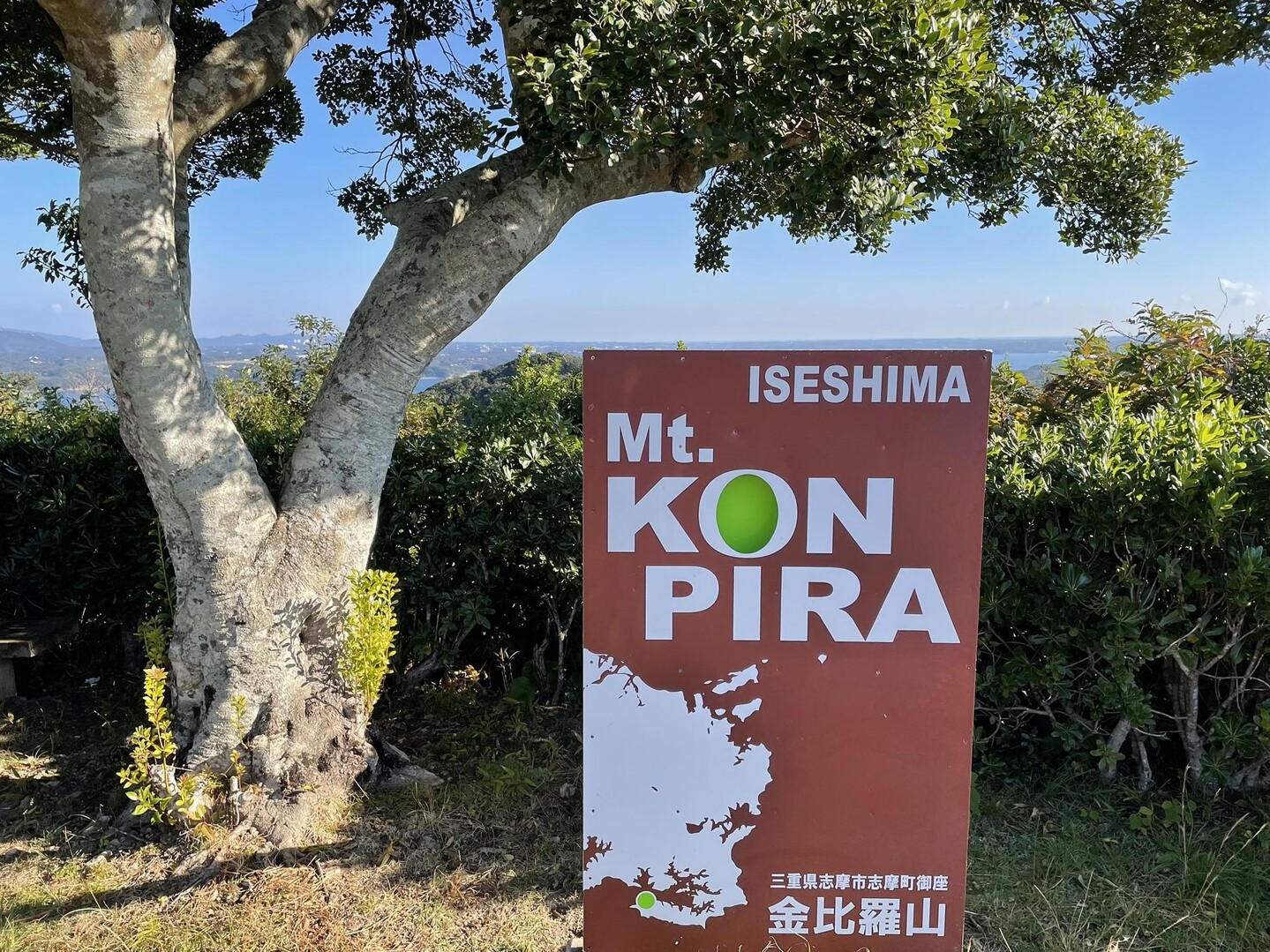 夜勤明けの金比羅山NO1 / 浜ちゃんさんの金比羅山の活動データ | YAMAP / ヤマップ