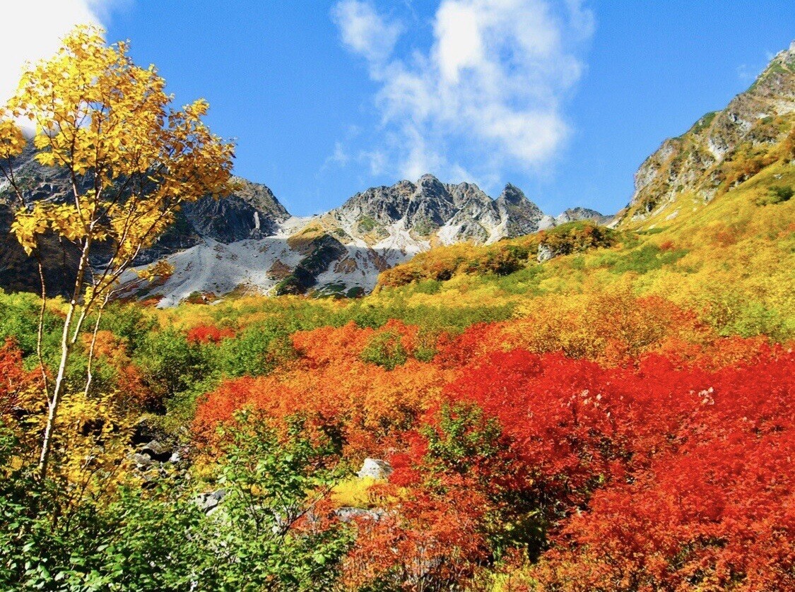 テントを撤収して降り始めるが何度も振り返... / masaさんのモーメント | YAMAP / ヤマップ