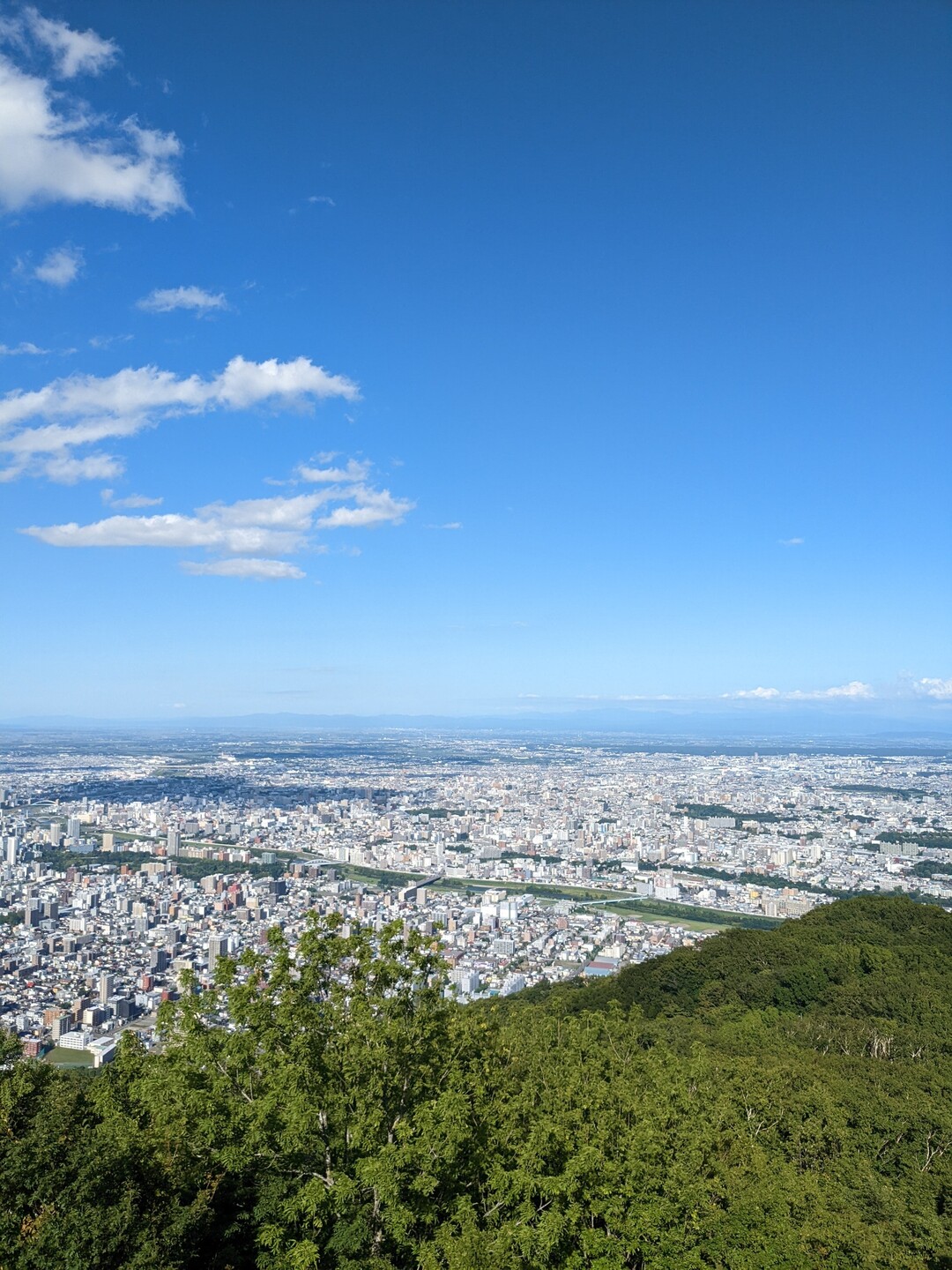 sayuさんの投稿したフィールドメモ | YAMAP / ヤマップ