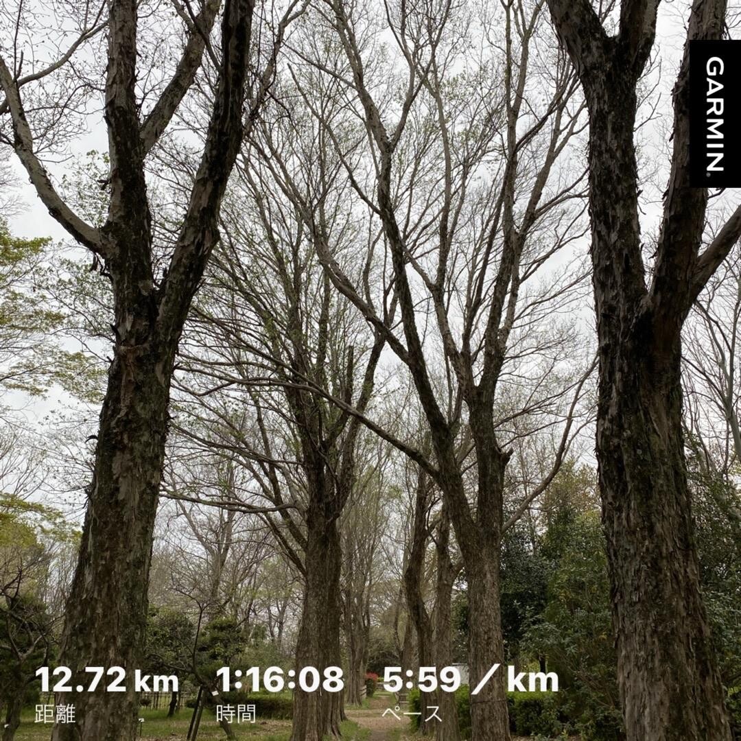 2024.04.03(水) 04:21 / コータローさんのモーメント | YAMAP / ヤマップ