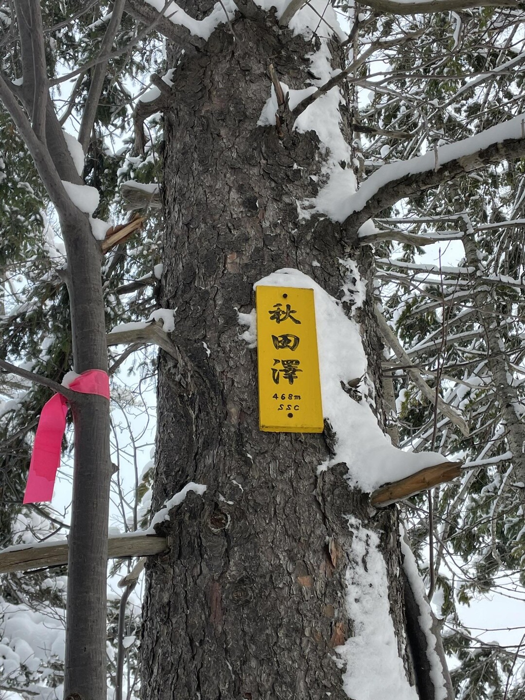 おかわり 秋田澤 / akorenaさんの余市岳・定山渓天狗岳の活動データ | YAMAP / ヤマップ