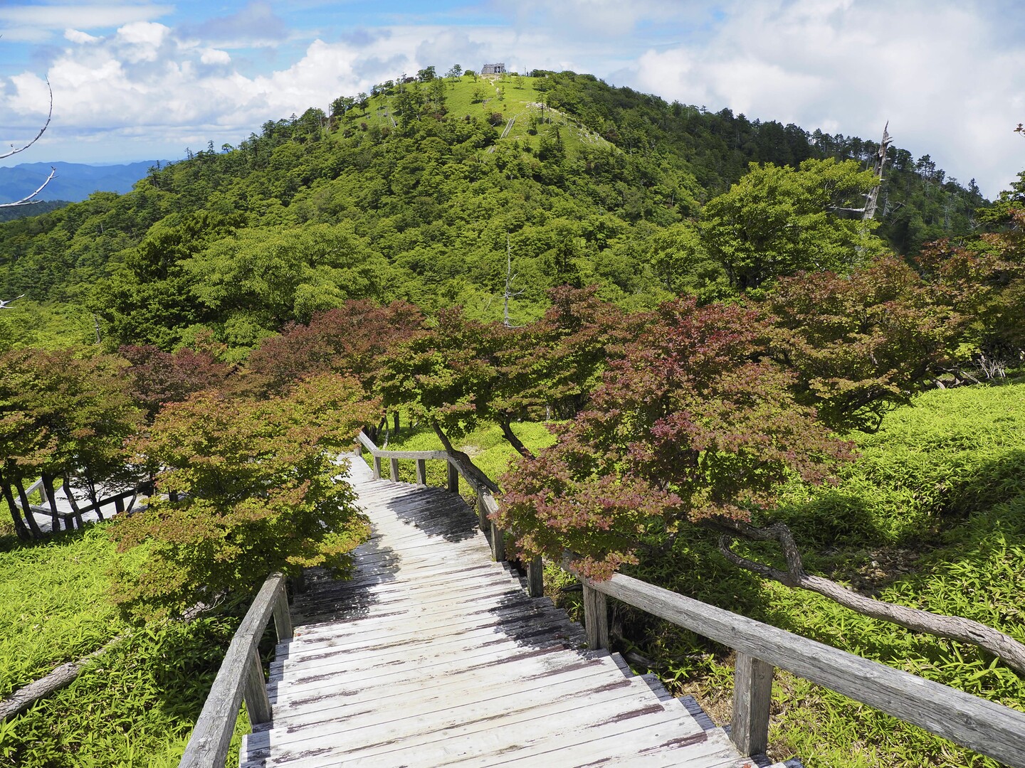 大台ヶ原山（日出ヶ岳） / konkonさんの大台ヶ原山・日出ヶ岳・大杉谷の活動日記 | YAMAP / ヤマップ