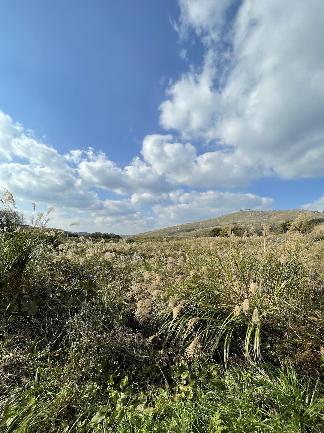 岩山 / Skt_Tozanさんの平尾台・貫山・水晶山の活動データ | YAMAP / ヤマップ