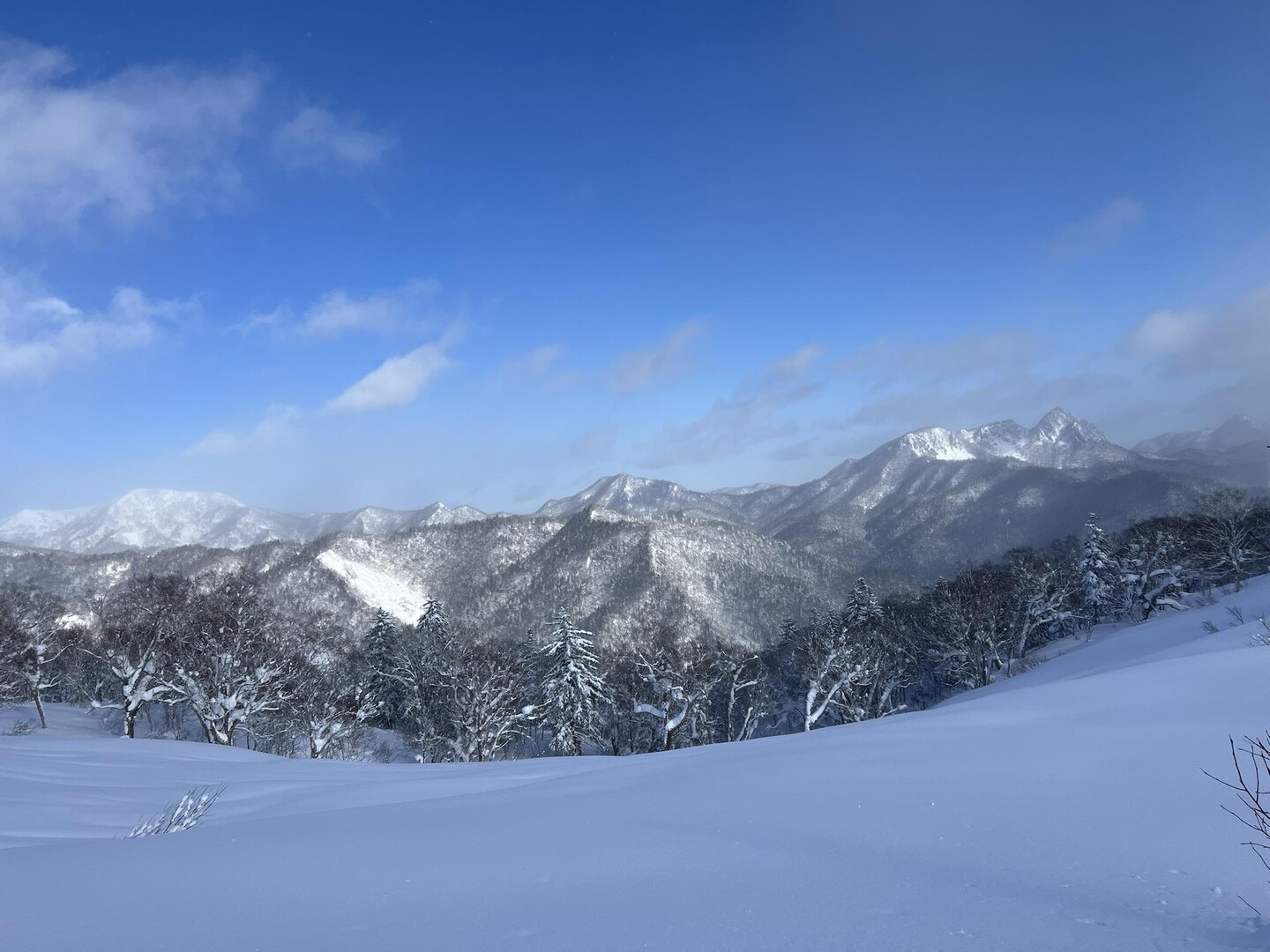 山鳥峰・南岳 / maya-mayaさんの余市岳・定山渓天狗岳の活動データ | YAMAP / ヤマップ