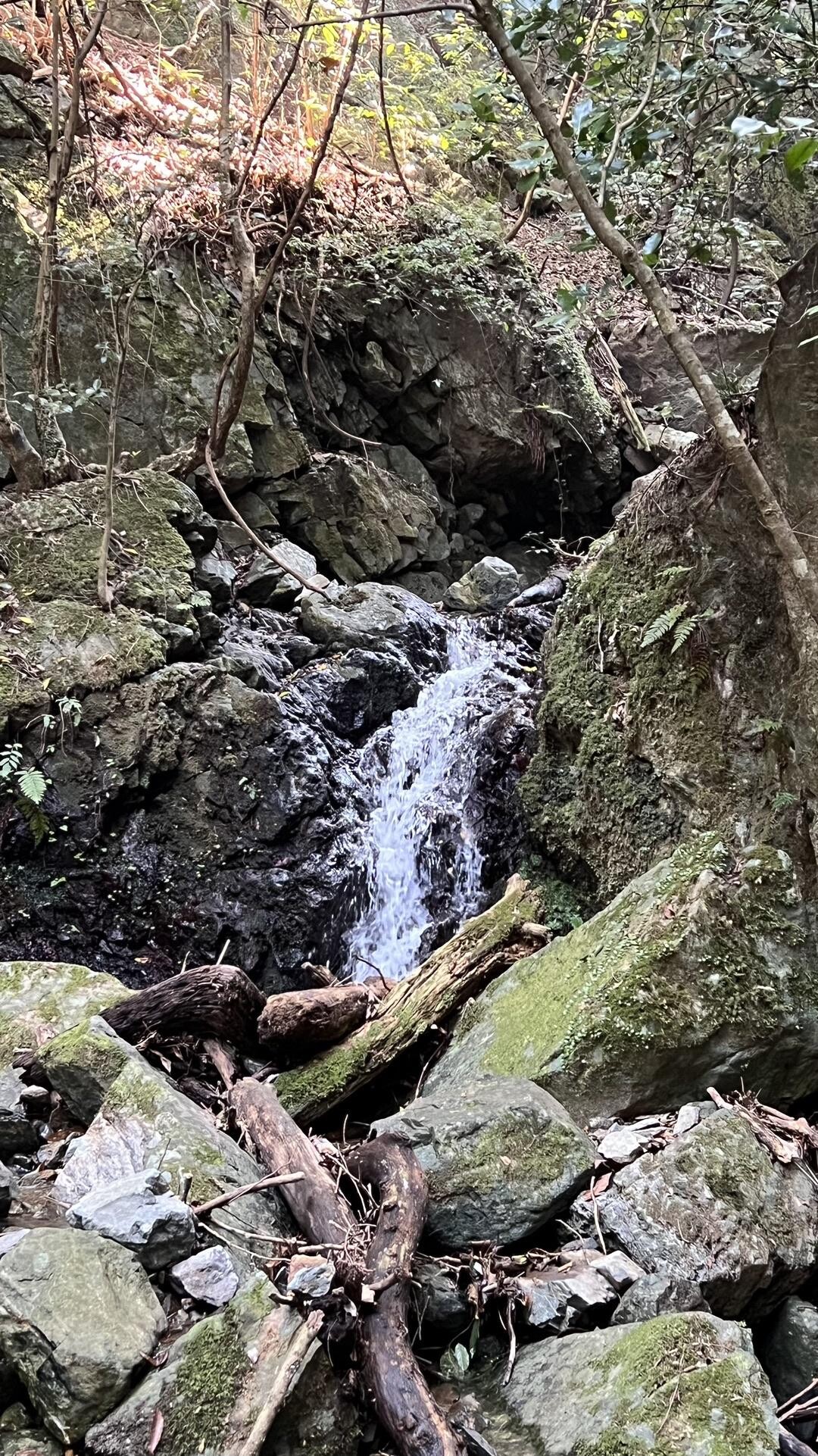 超超超超〜お久の入山‼️😄 一仕事いっ... / kentakaさんのモーメント | YAMAP / ヤマップ