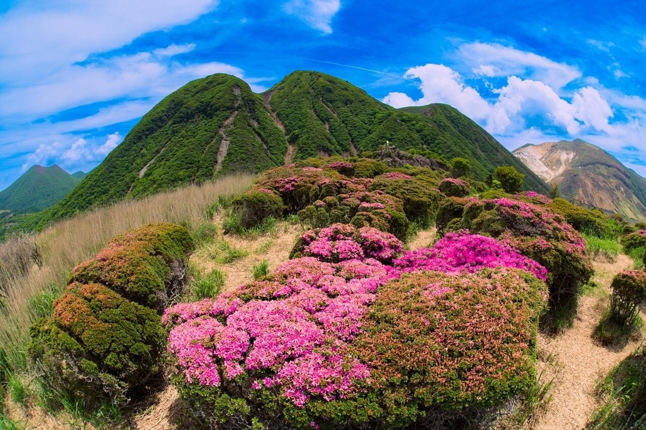 指山 / zuyanさんの九重山（久住山）・大船山・星生山の活動データ | YAMAP / ヤマップ