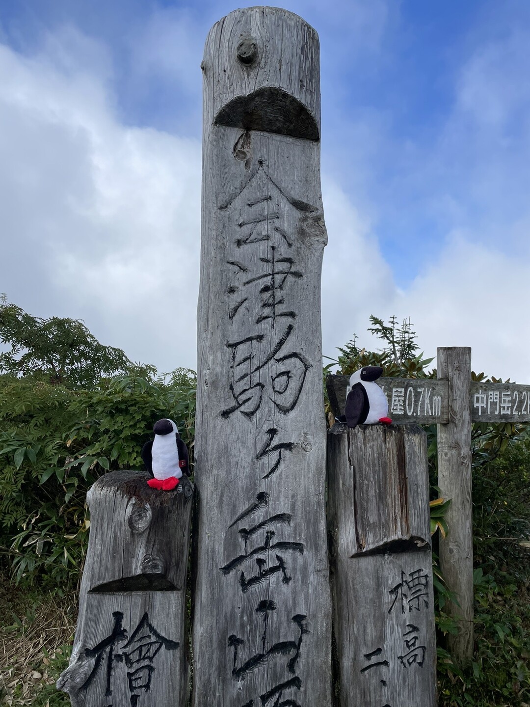 会津駒ヶ岳 / synさんの会津駒ヶ岳の活動データ | YAMAP / ヤマップ