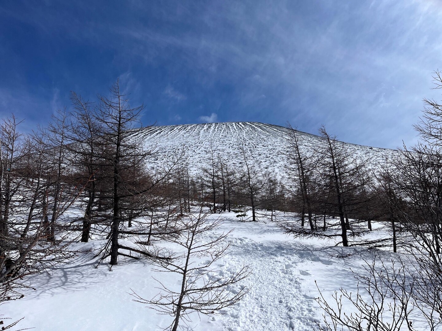百名山22座目(再) 浅間山(前掛山) / Deimosさんの浅間山・黒斑山・篭ノ登山の活動データ | YAMAP / ヤマップ