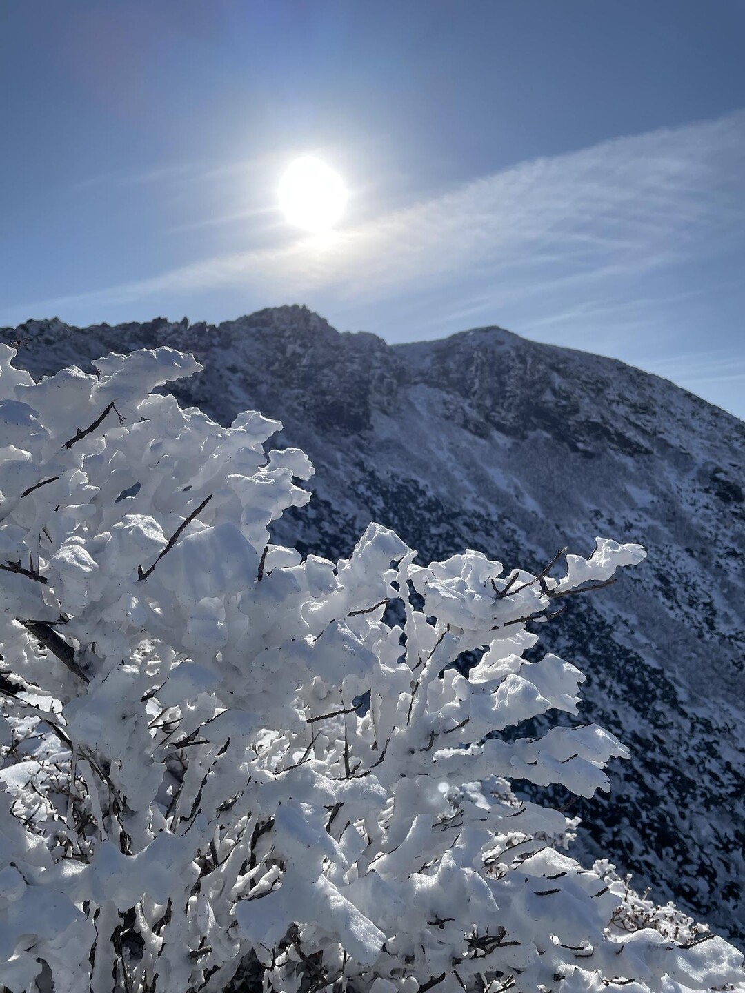 今年初の九重登山 ️雪山、凍った御池を目... / P〜助さんのモーメント | YAMAP / ヤマップ