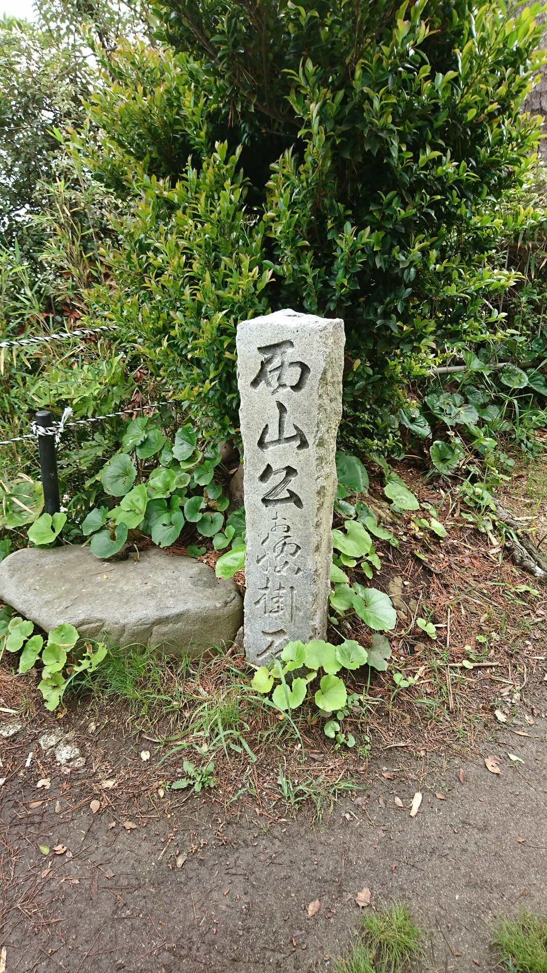 天妃山(磯原海岸・北浜海岸) / type52さんの石尊山の活動データ | YAMAP / ヤマップ