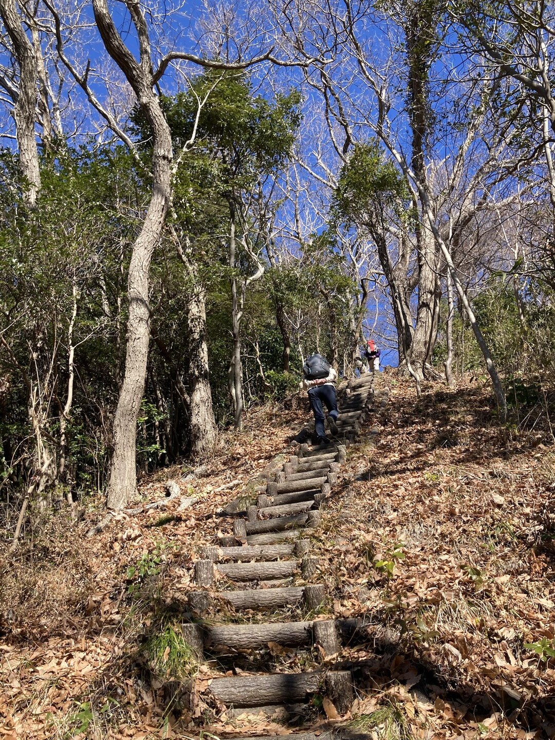 磯子駅-高田公園-湘南平-高麗山-高来神... / houlanさんのモーメント | YAMAP / ヤマップ