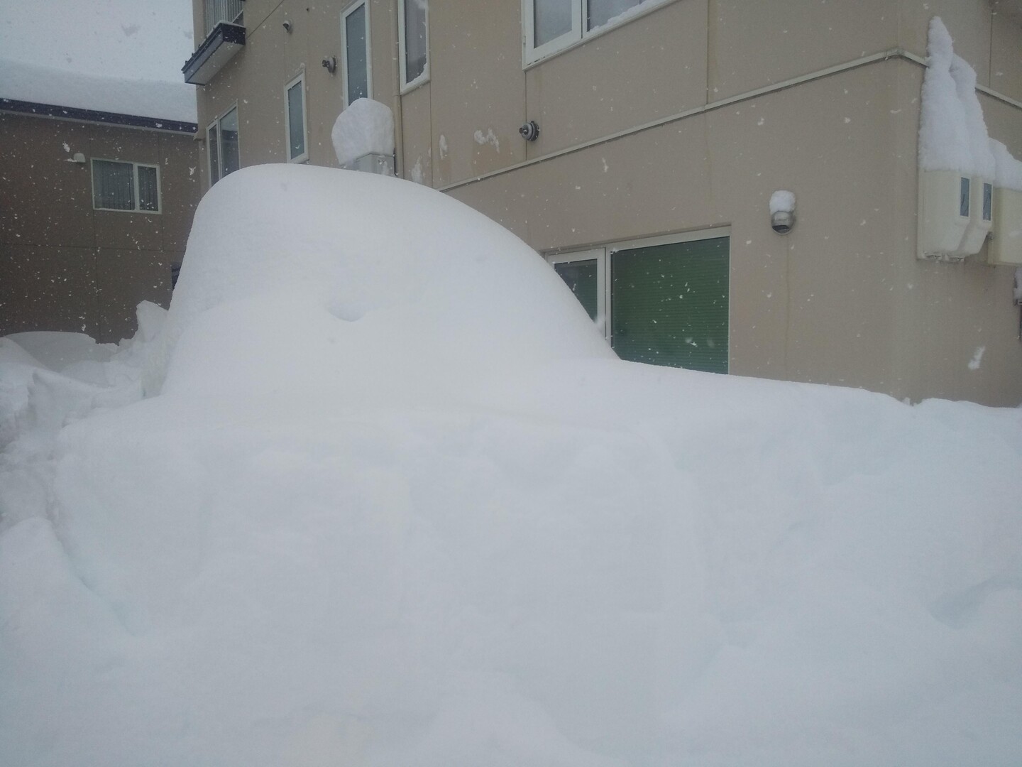 北海道帯広市 降雪量124cm ひどすぎ... / AKKIさんのモーメント | YAMAP / ヤマップ