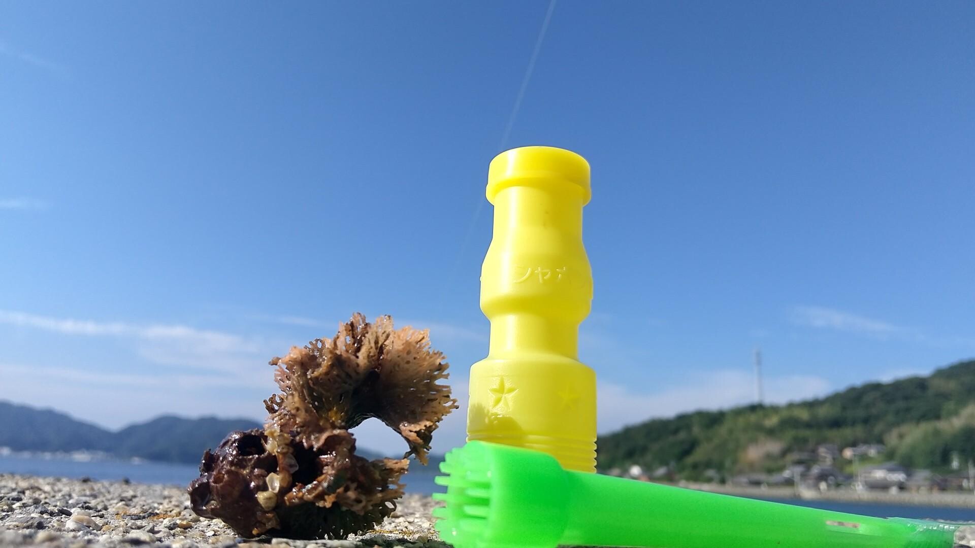 megumiのページ | YAMAP / ヤマップ