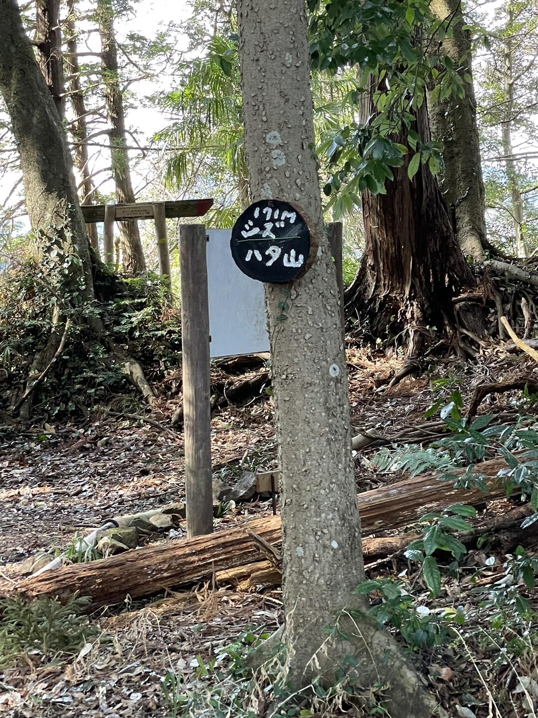 浅間山・賤機山・茶臼山 / chiwachiwaさんの賤機山の活動データ | YAMAP / ヤマップ