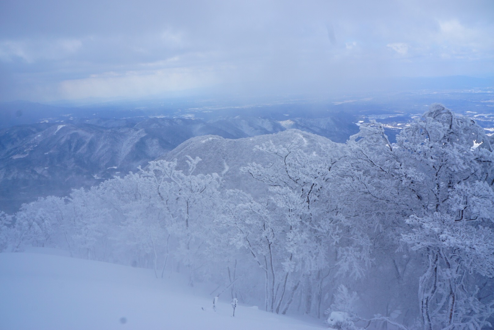綿向山に登ってきました / Zen Kooさんの綿向山の活動データ | YAMAP / ヤマップ