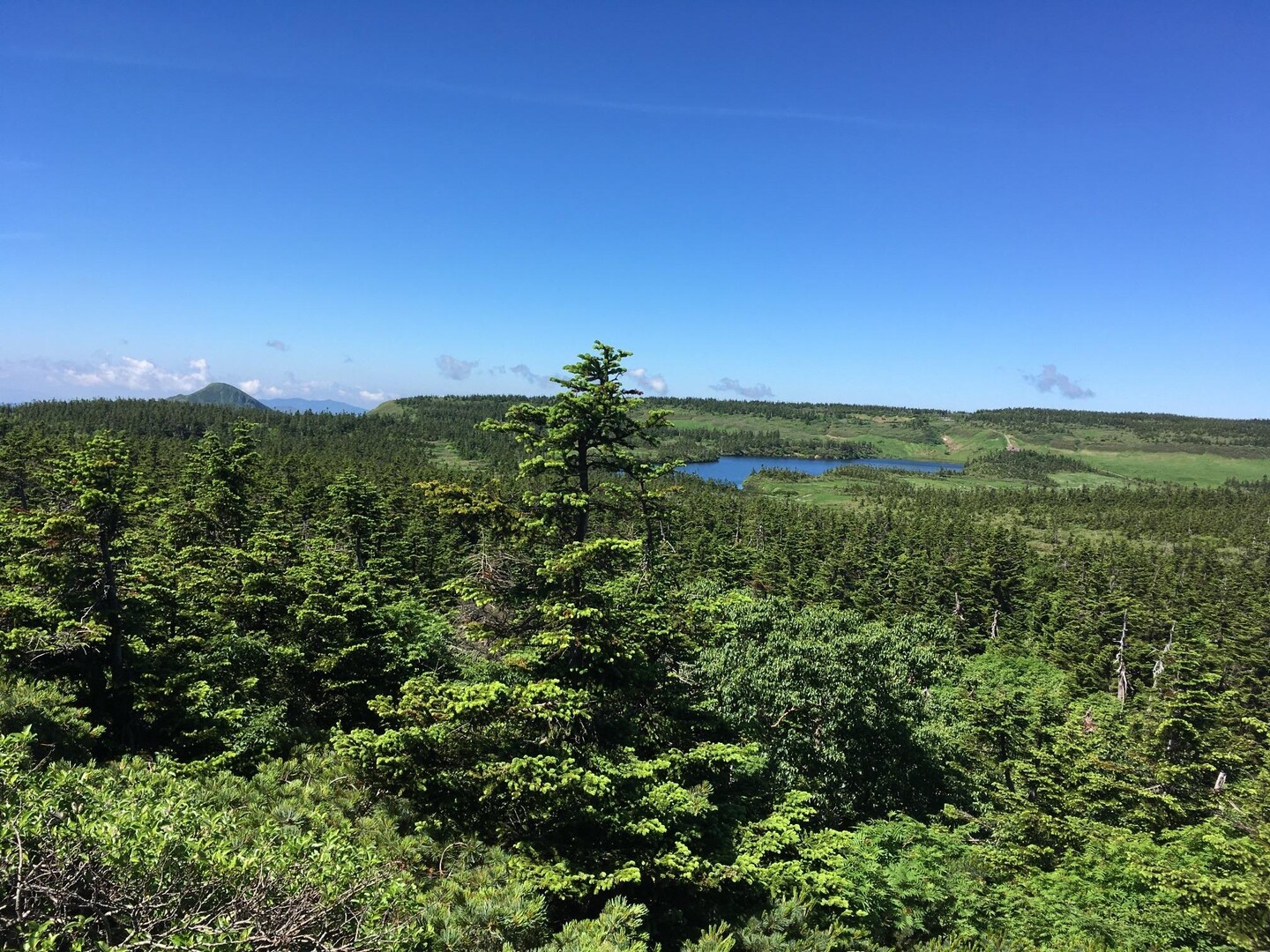 源太森・八幡平 / デミオXDさんの八幡平・源太森・安比岳の活動データ | YAMAP / ヤマップ