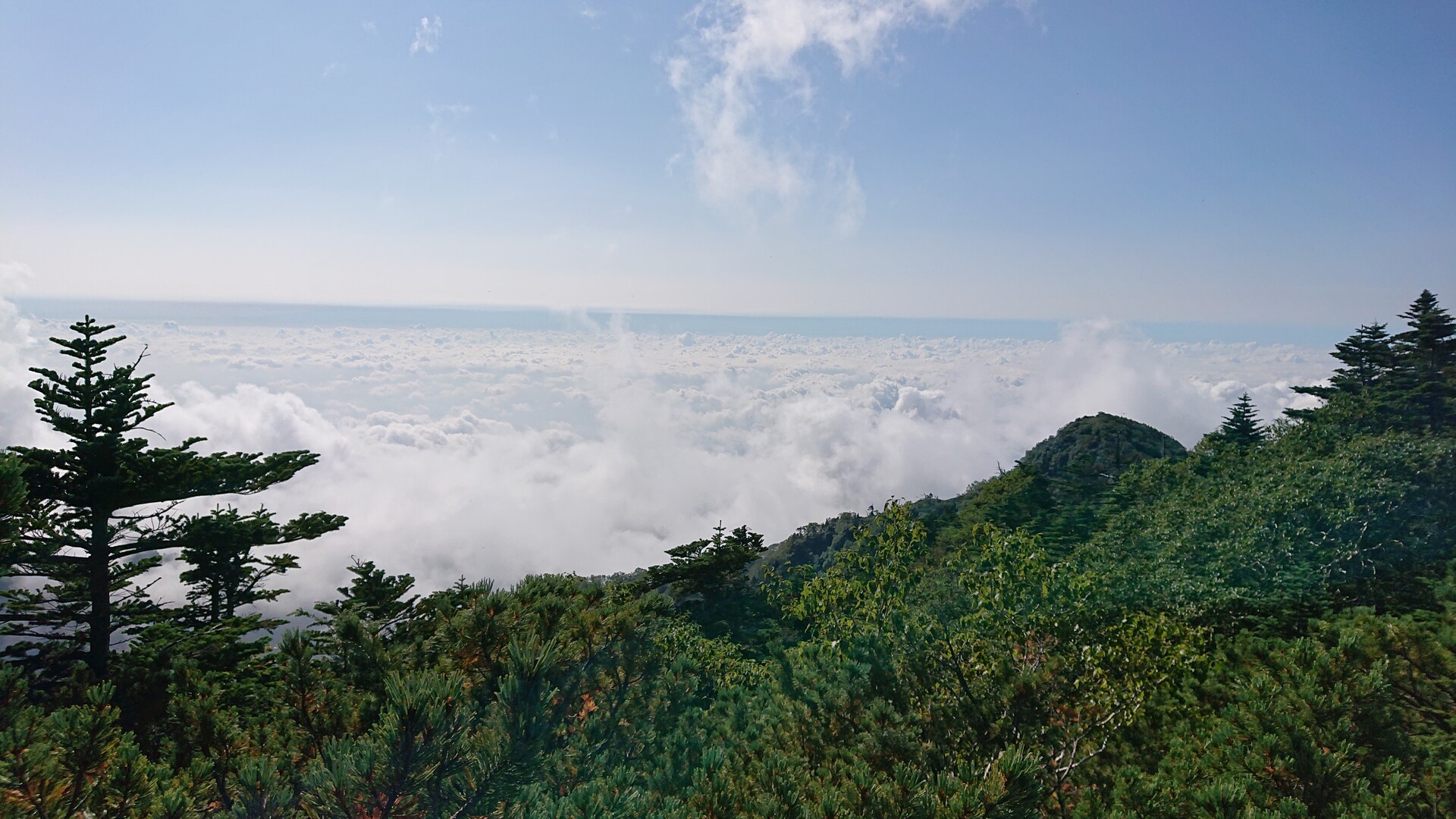 女峰山(キスゲ平から) / sakagrunさんの女峰山・赤薙山・大真名子山の活動データ | YAMAP / ヤマップ